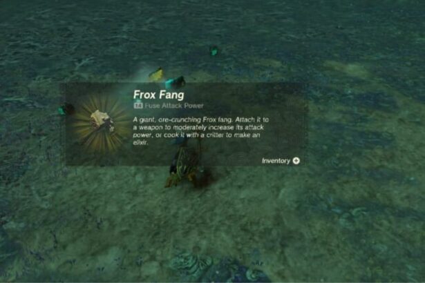 Where to Find and Defeat Obsidian Frox in Zelda: Tears of the Kingdom ...