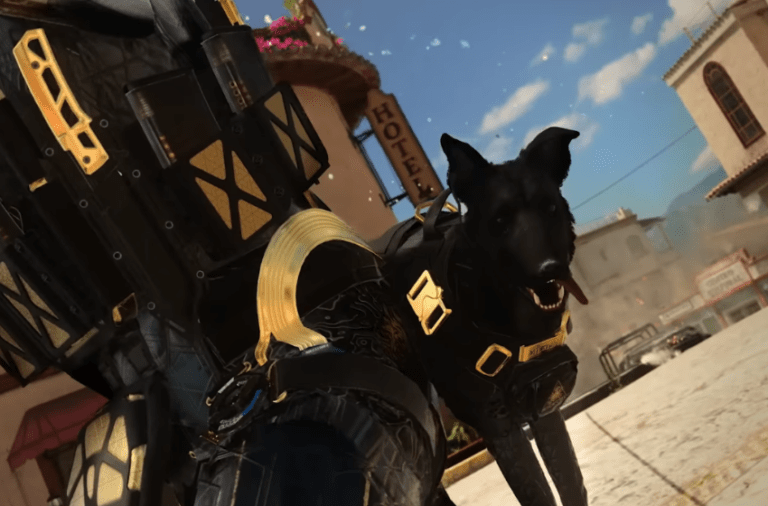 How to Use Tactical Pets in Warzone 2 and MW2 – QM Games