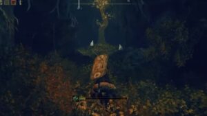Ancient Ruins Of Rauh Map Fragment Location In Elden Ring Shadow Of The ...