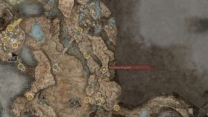 How to Complete Igon’s Quest in Elden Ring Shadow of the Erdtree – QM Games