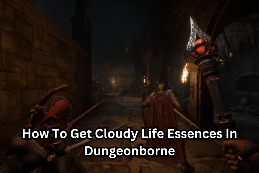 How To Get Cloudy Life Essences In Dungeonborne – QM Games
