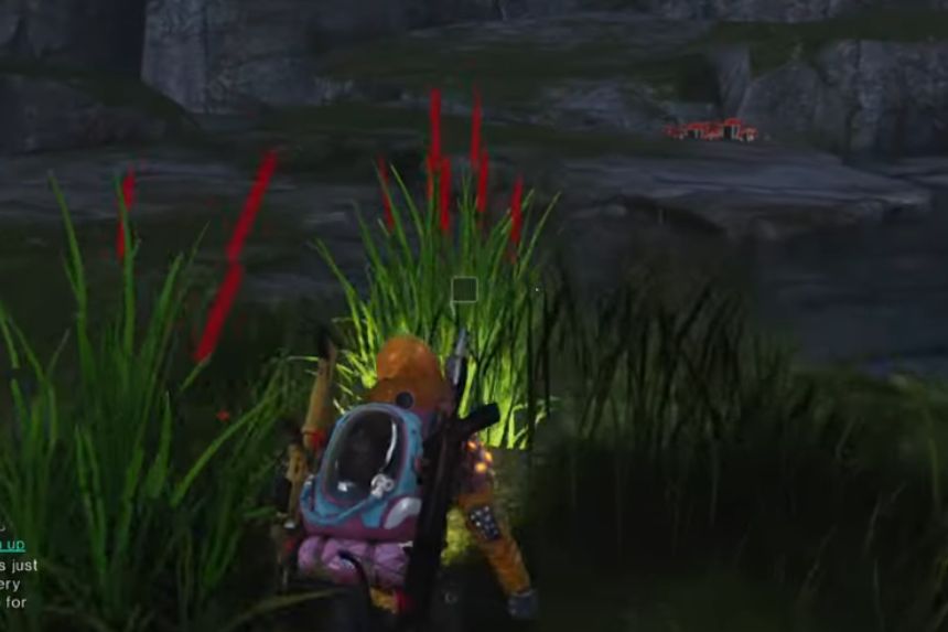 Once Human Scarlet Calamus and Coneflower Locations – QM Games