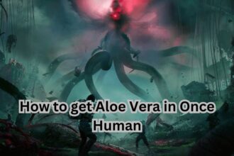 Once Human Best Corn Farming Locations – QM Games